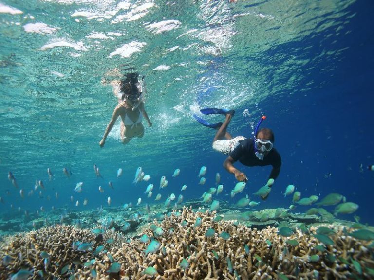 HAMATA ISLAND SEA TRIP - Egypt Plus